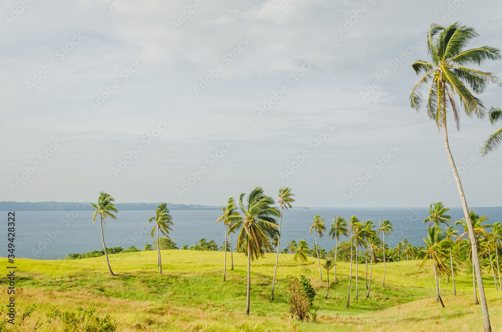 Siargao Island The Pilippines Stock Photo | Adobe Stock