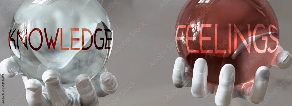 feelings and knowledge in a balanced life - pictured as words feelings ...
