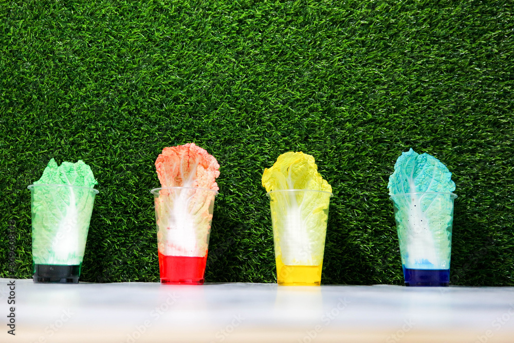 cool and fun science experiment for school children kids colorful ...