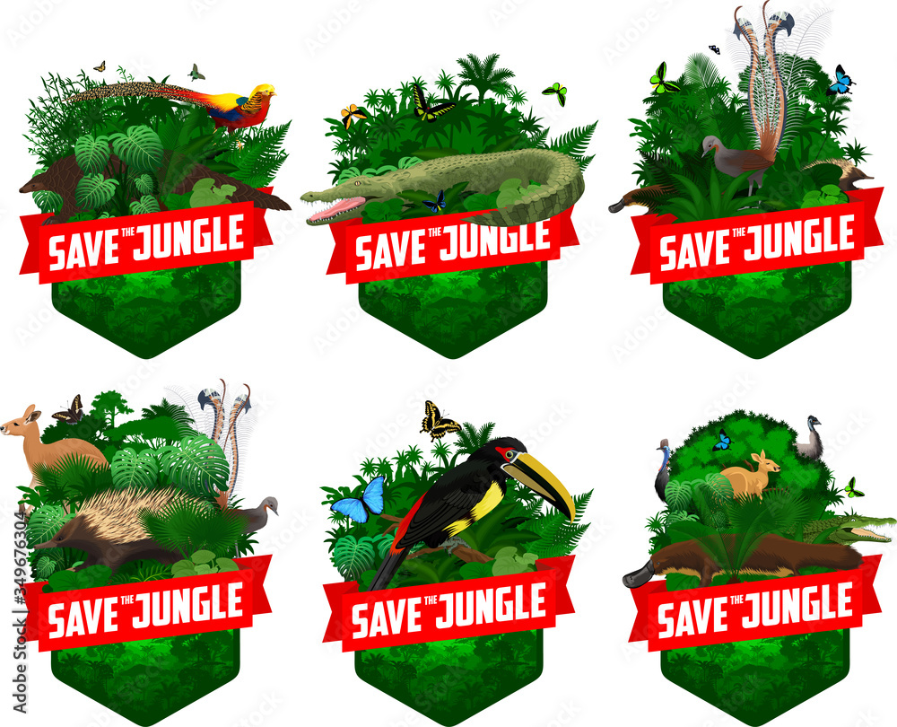 set of vector jungle rainforest emblem with red kangaroo, Lyrebird ...