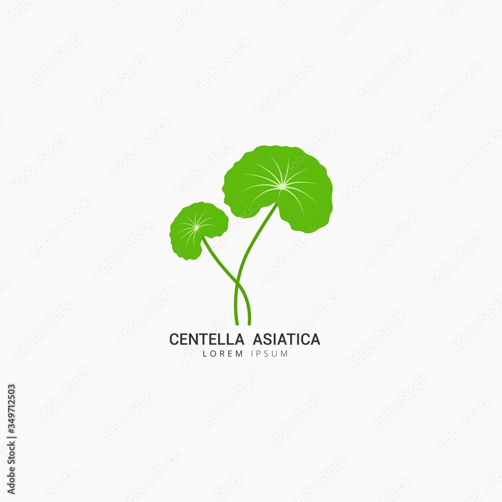 Centella Asiatica icon logo vector design template Vektor Stok | Adobe ...