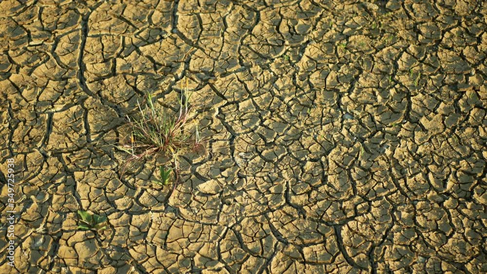 Drought cracked pond wetland, swamp very drying up the soil crust earth ...