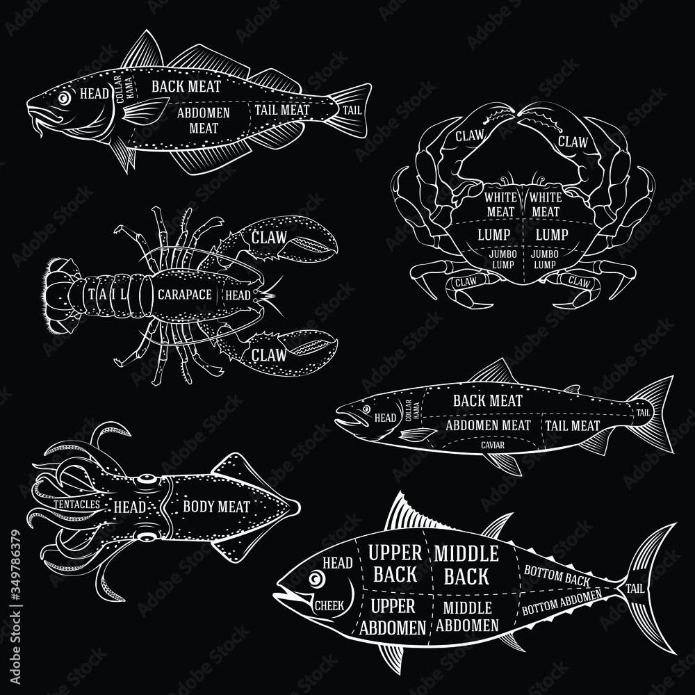 Fishmonger diagram guide for cutting fish and seafood Stock Vector ...