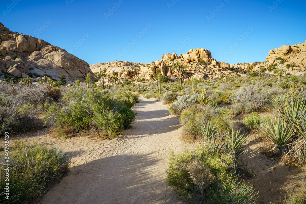 hiking the barker dam nature trail in joshua tree national park ...