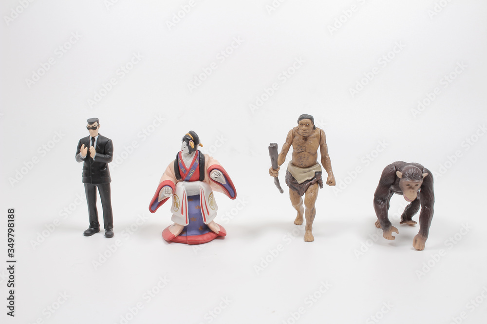 a scale of figure of Human Evolution Stock Photo | Adobe Stock