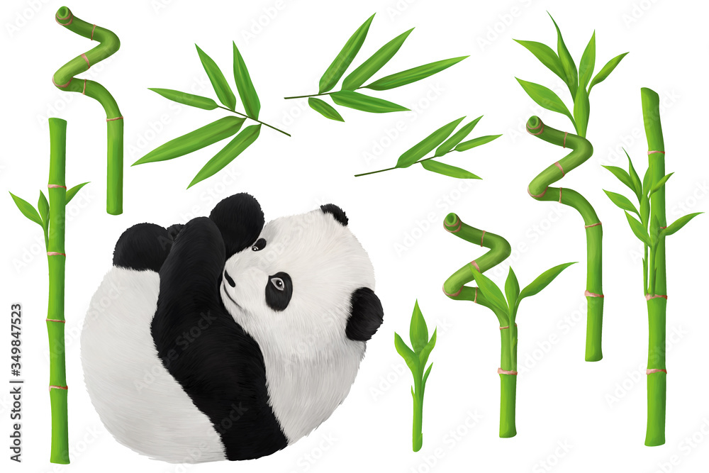 Baby panda and bamboo clip art kit on white background Stock ...