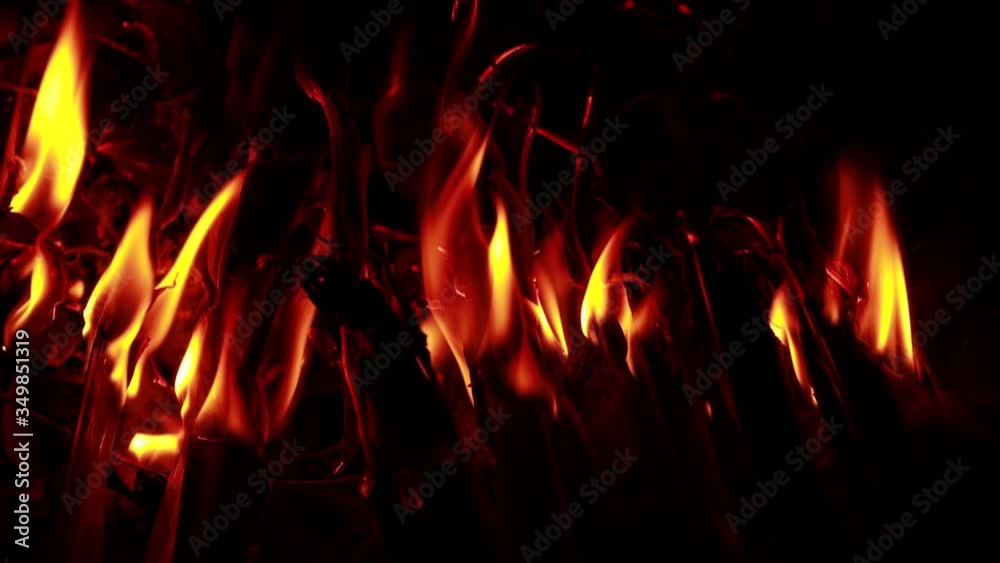 Coconut Leaf Fire flames on a black background. Blaze fire flame ...