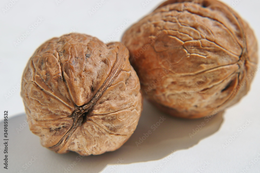 walnut fruit without skin close-up, macro in natural light on a white ...