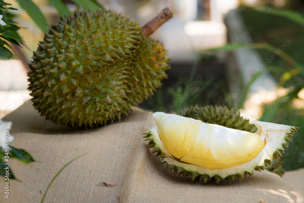 Durian fruit. Ripe durian. Tasty durian that has been peele Stock Photo ...