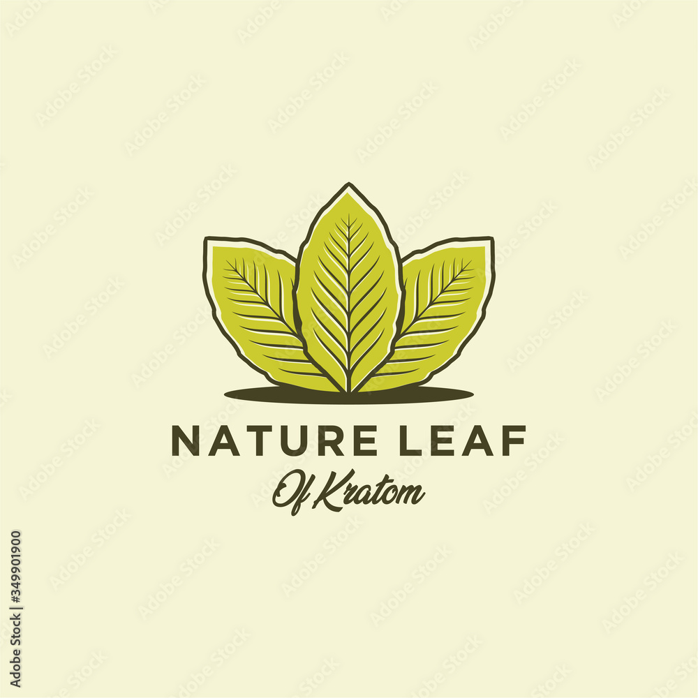 Mitragyna speciosa. kratom leaf logo design vector icon illustration ...