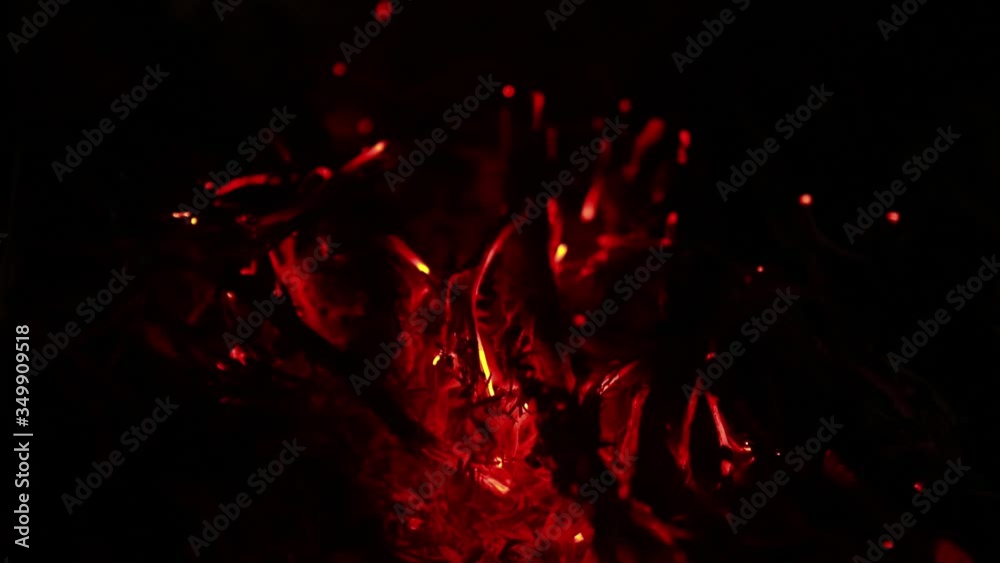 Coconut Leaf Fire flames on a black background. Blaze fire flame ...