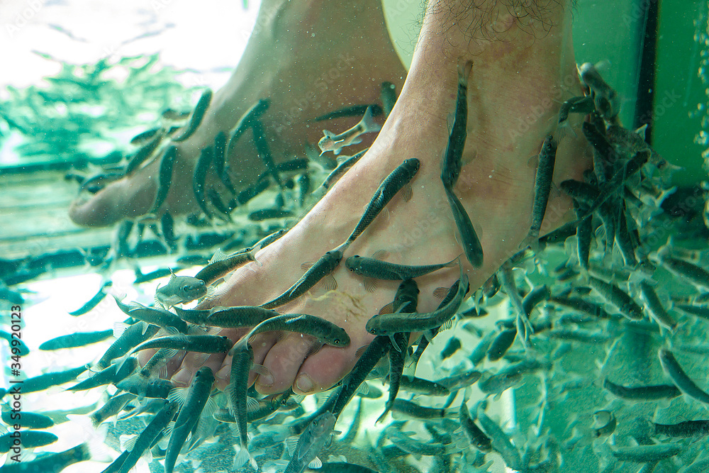 Peeling legs in an aquarium by Garra Rufa fish. Garra rufa fish eat ...