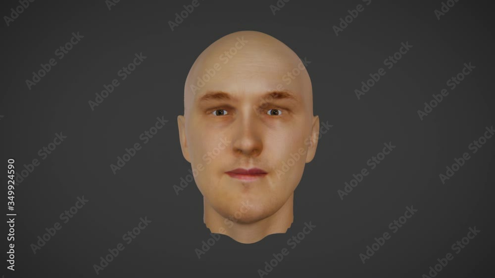 Photorealistic 3D Head model spins 360 in Software. Skin normals ...