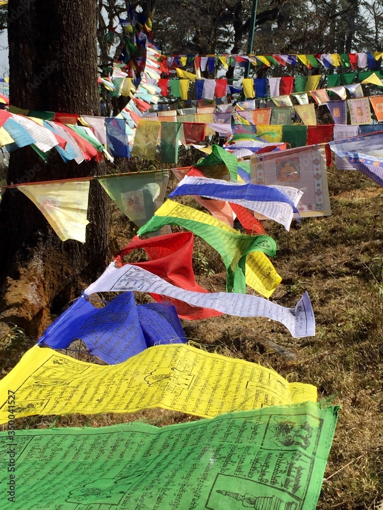 Prayer Flags Hanging By Tree In Forest Stock Photo | Adobe Stock