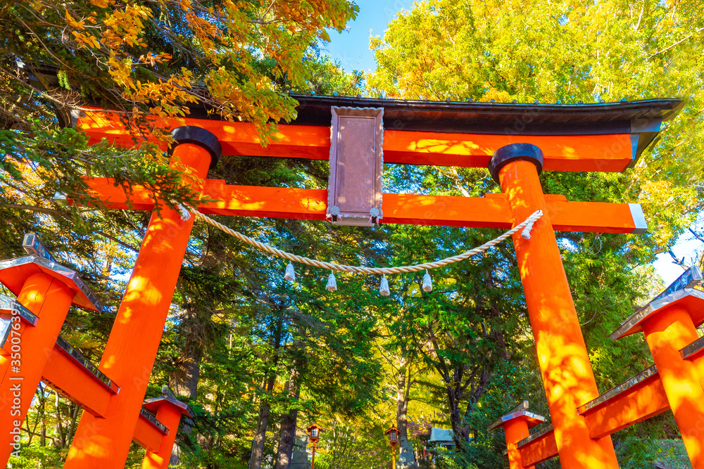 Japan. Red Japanese gate in the city of Fujiyoshida. Red arches in the ...