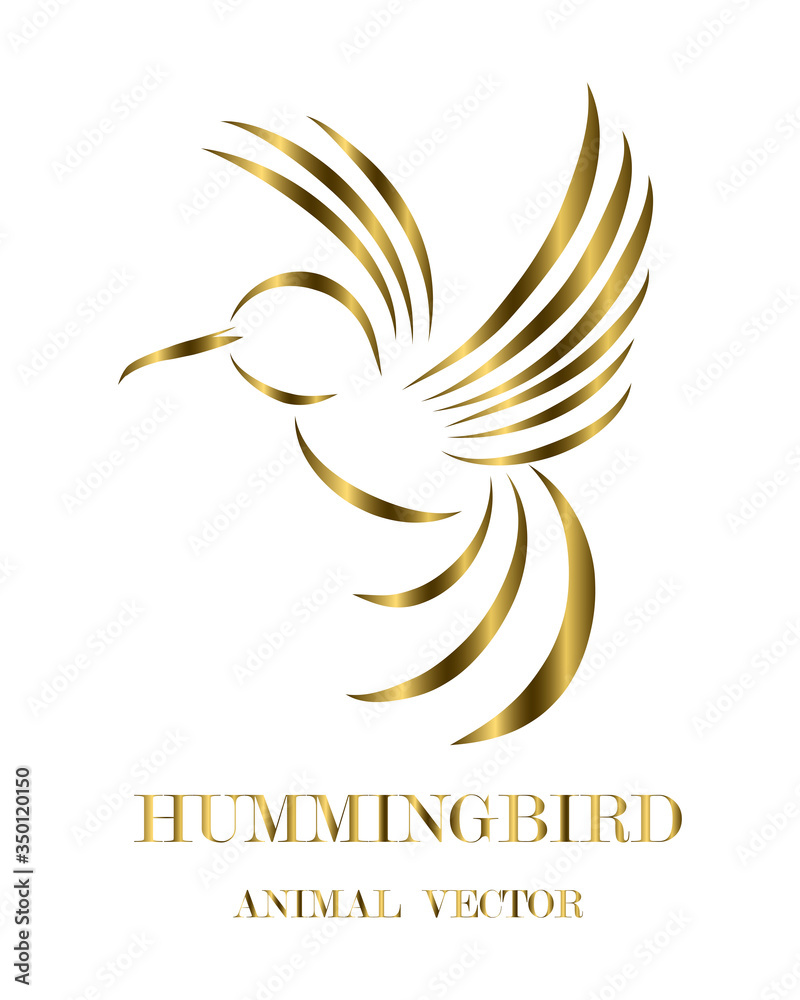 Golden line art Vector illustration on a white background of flying ...