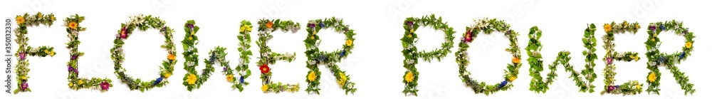 Flower, Branches And Blossom Letter Building English Word Flower Power ...
