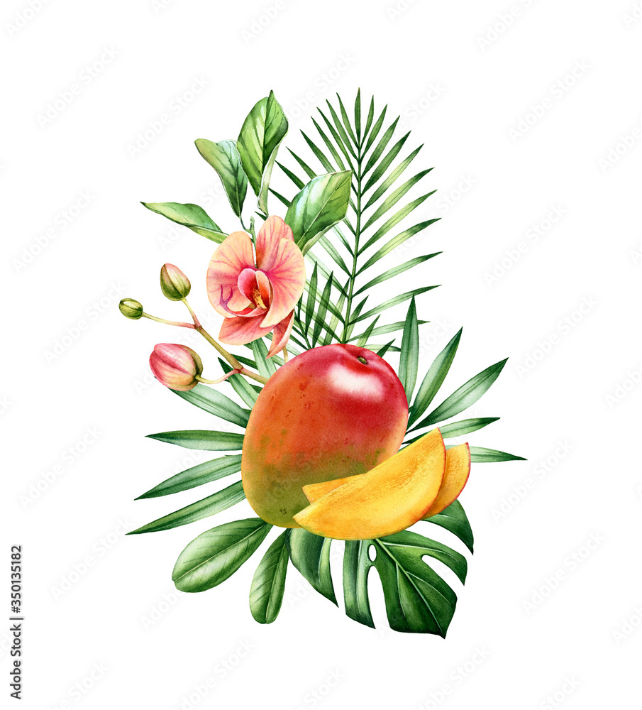 Watercolor mango fruits. Vertical bouquet with juicy fruits, tropical ...