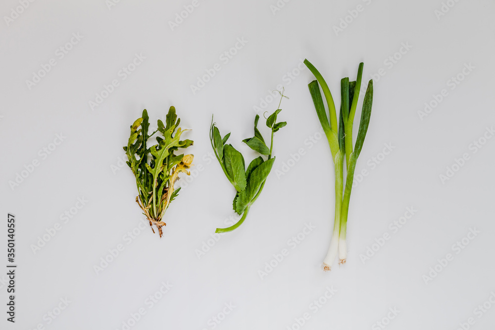 Green rocket, pea shoots and scallions on a pastel white background in ...