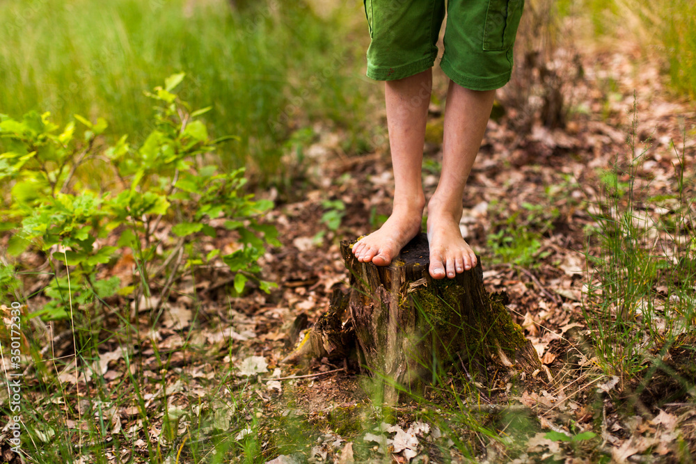 Foto de Child stands barefoot on tree trunk in the forest. Child is ...