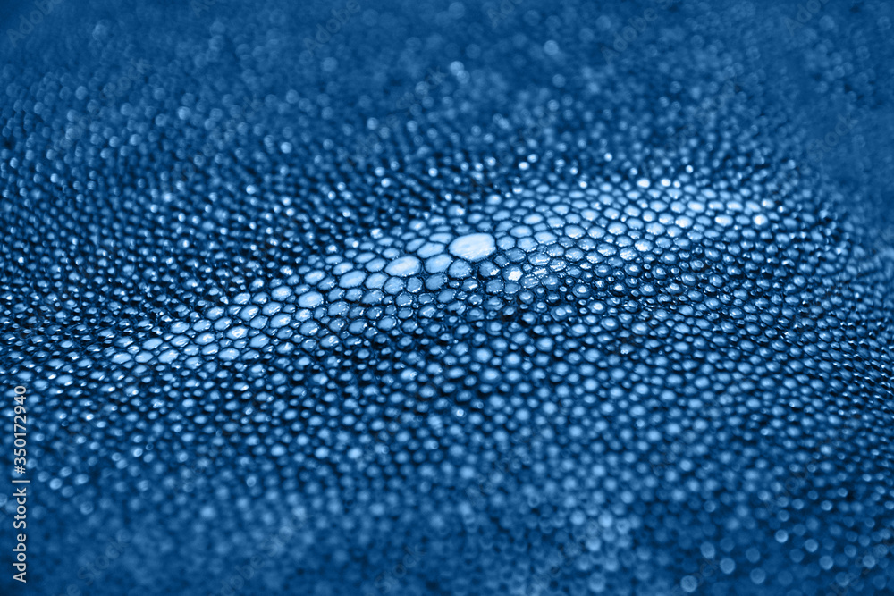 Foto de stingray skin texture. Background nature wallpaper. Colored ...
