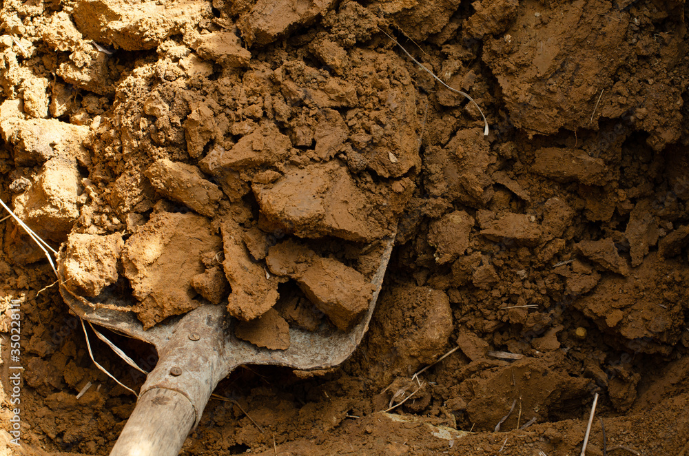 Ground works. Digging hole and clay soil in square-faced shovel. Stock ...