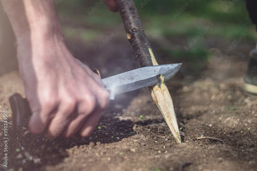 Man sharpening a stake outdoors, close up. Male using a hunting knife ...