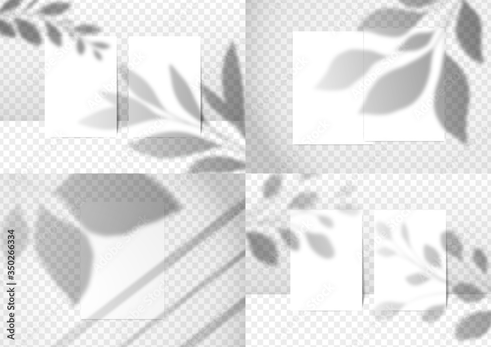 Elegant cards mockup set with floral & window overlay shadows. Editable ...