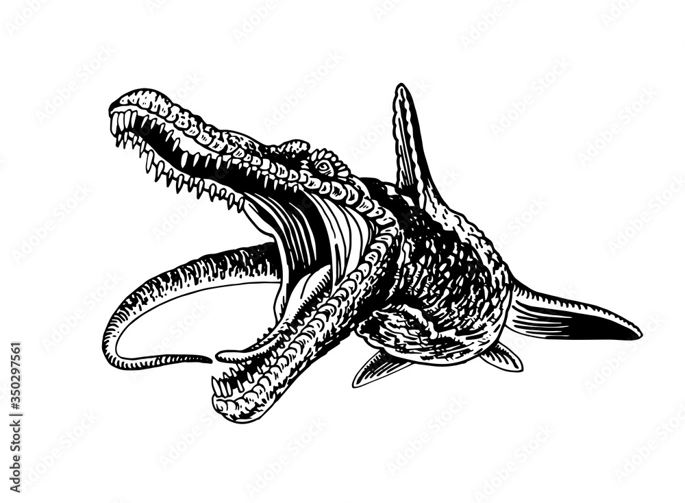 Graphical hand-drawn Tylosaurus isolated on white ,vector illustration ...