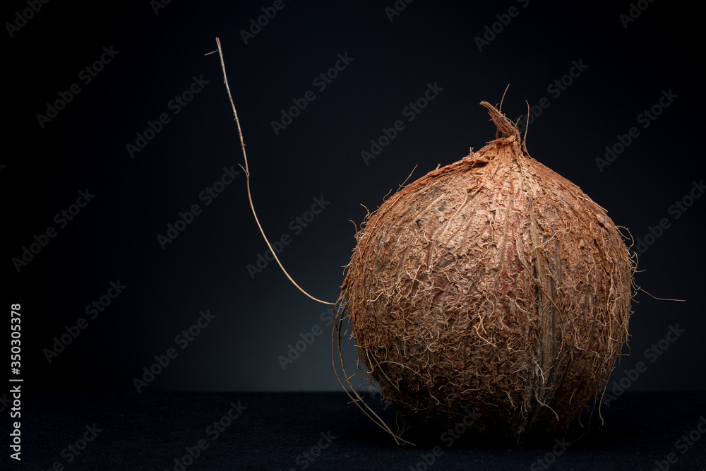 Texture and detail of the inner core of a coconut calabash with harry ...