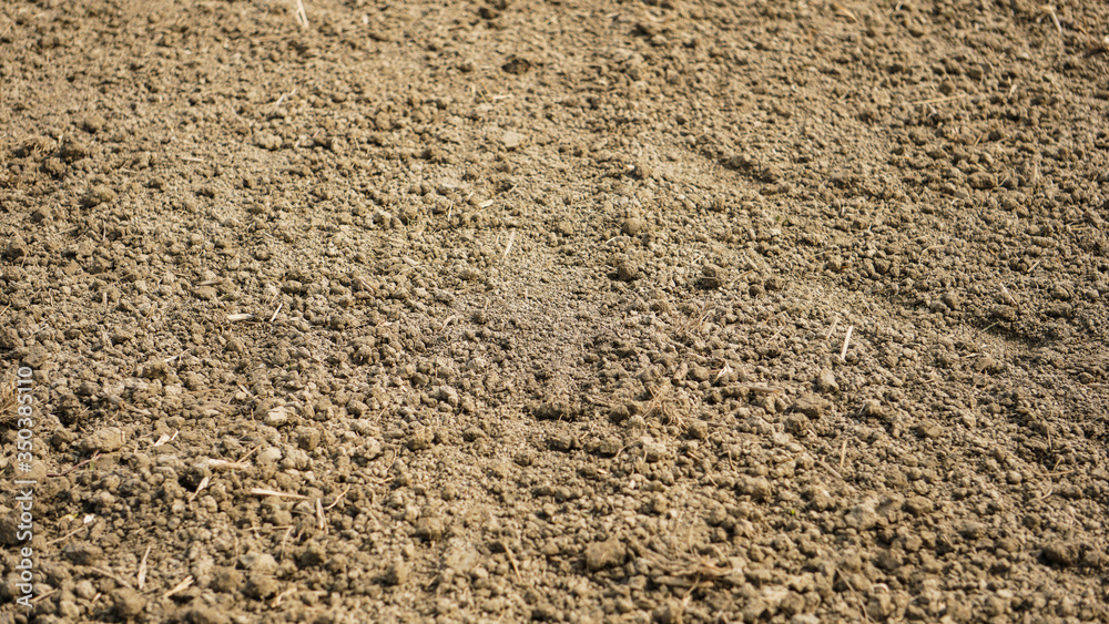 Soil - Texture (Sand, Silt, Clay Composition). Fertile loam soil ...