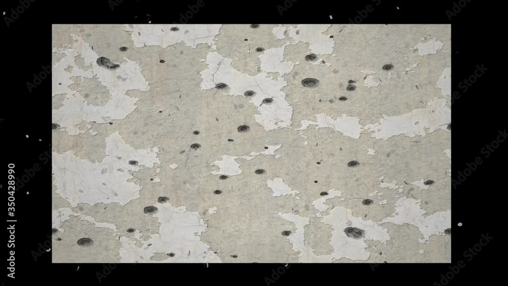 New plaster changes to old . Newly plastered surface transforms and ...