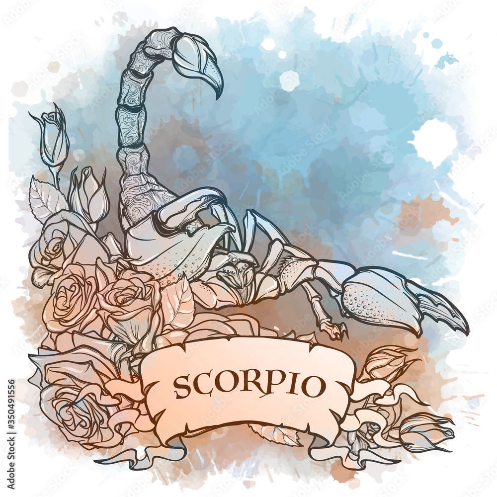 Zodiac sign of Scorpio, element of Water. Intricate linear drawing on ...