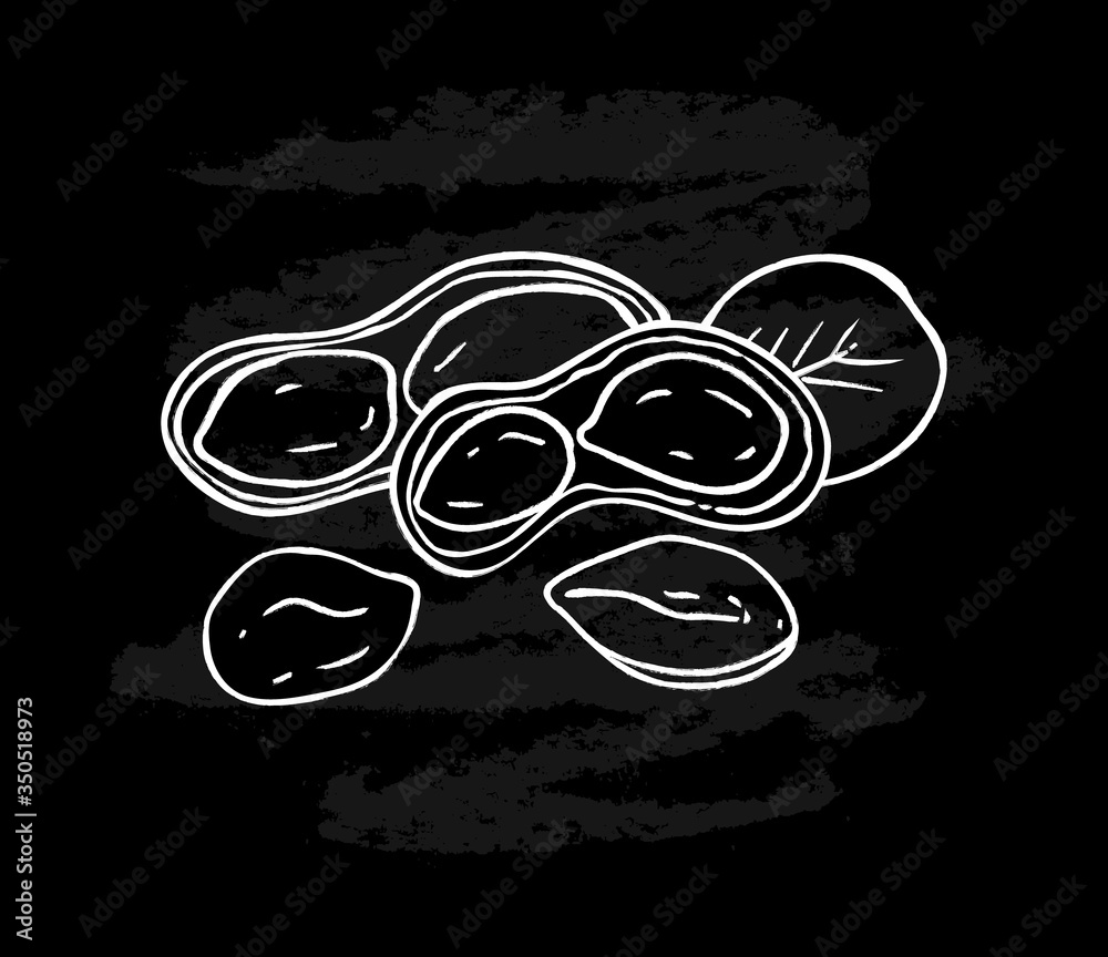 White hand drawn peanut images isolated on black chalkboard background ...