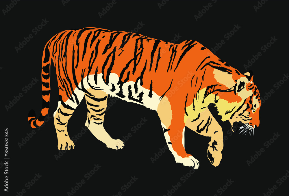 Tiger vector illustration isolated on black background. Big wild cat ...