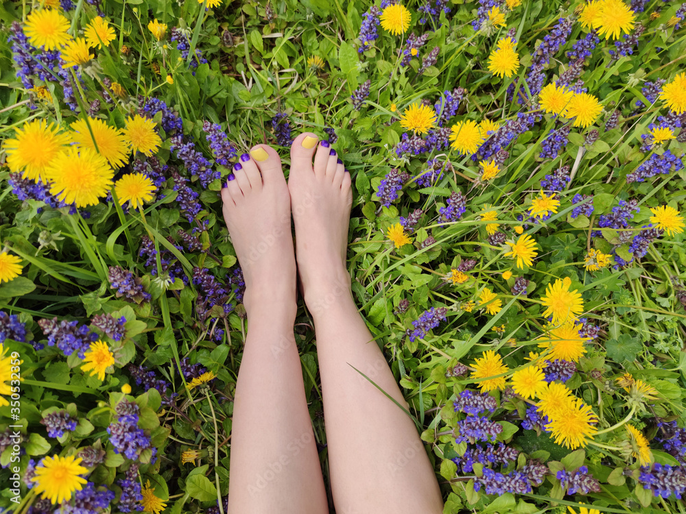 feet in the grass Stock Photo | Adobe Stock