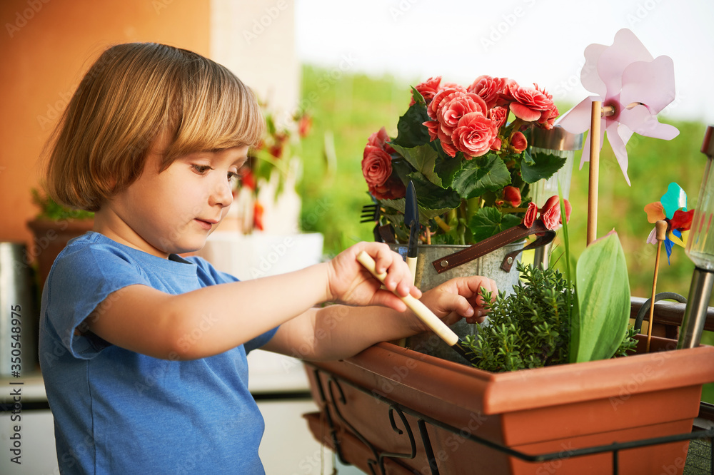 Cute baby boy planting flowers in pots on the balcony, little gardener ...