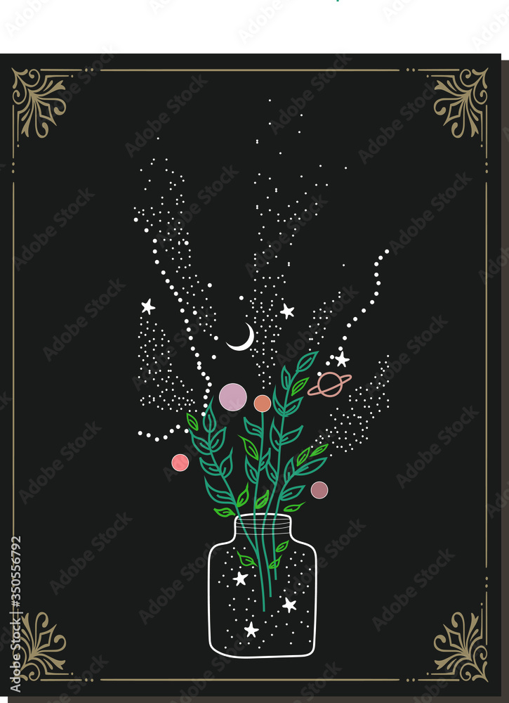 Vector illustration set of moon phases with plant elements. Different ...