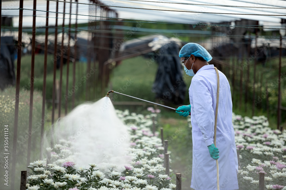 Half length profile shot of scientist in white suit spread insecticide ...
