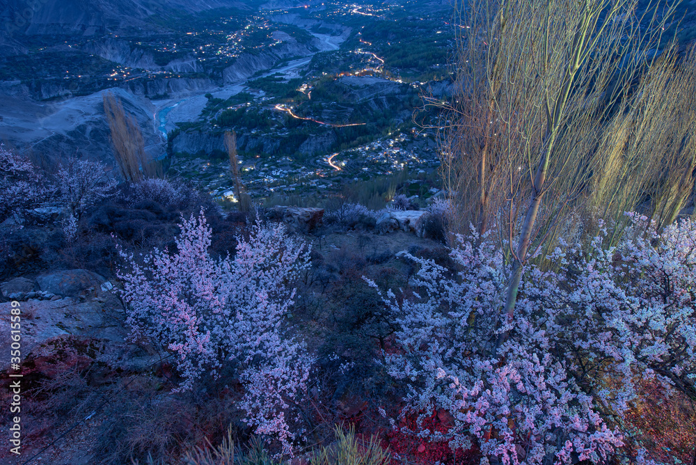 Landscape of Hunza Valley in pink apricot blossom season, Gilgit ...