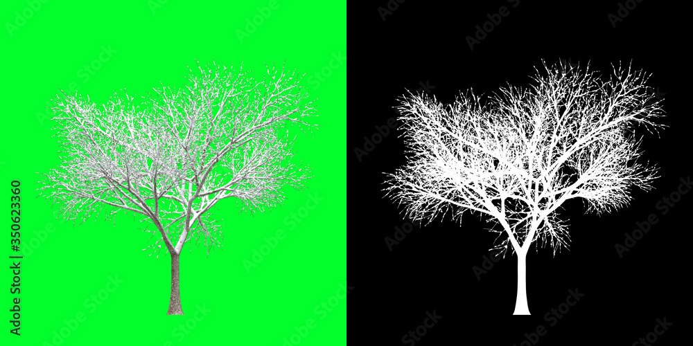 Left View Winter Tree 3D Render PNG Chroma Key Bakcground with Opacity ...