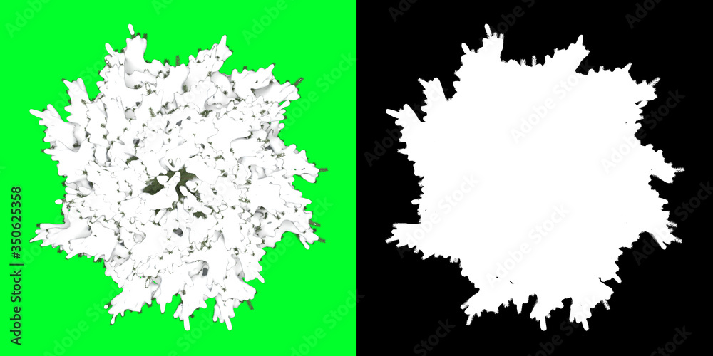 Top View Winter Tree 3D Render PNG Chroma Key Bakcground with Opacity ...