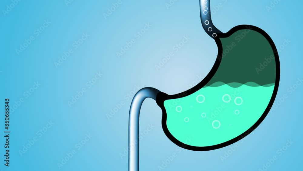 Digestive process in human stomach. Treatment of Gastric gut line ...