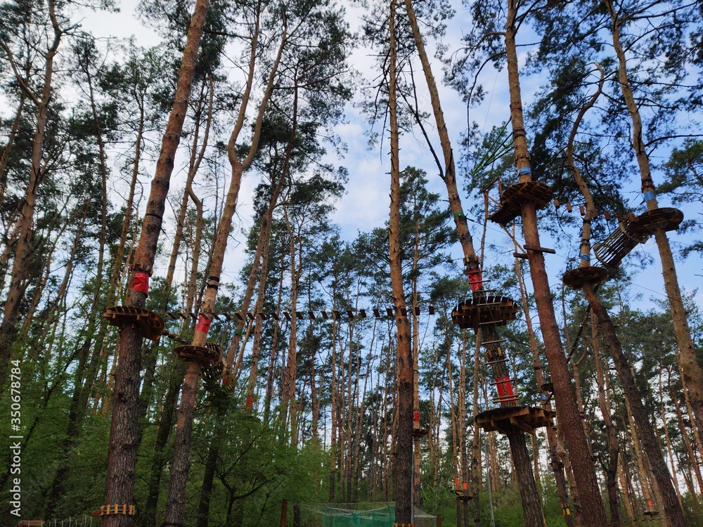 Foto de Rope path in the forest. Extreme, active rest. Cableway ...
