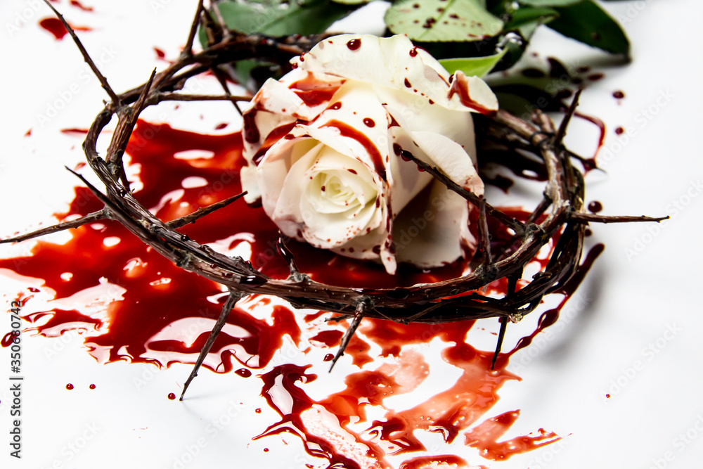 Beautiful and bloody white rose with the wreath of branches with thorns ...