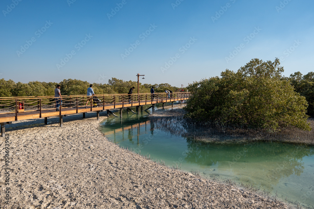 Mangrove Forests 12 UAE Stock Photo | Adobe Stock