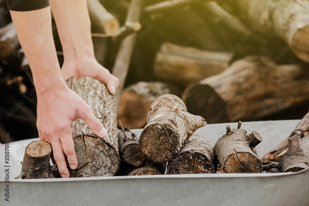 Men's hands close-up put sawn-off logs. Ecological and forestry concept ...