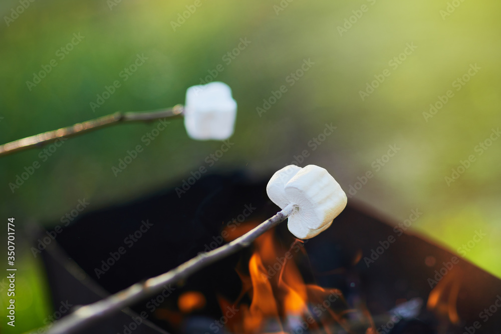 Marshmallow roasting over the fire flames. Marshmallow on skewers ...