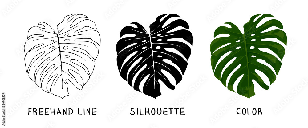 Set of drawing vector monstera leaves from contour, silhouette and ...