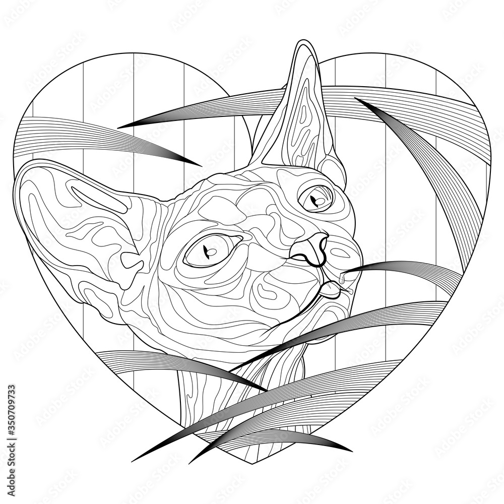 Cat sphynx coloring pages for adults, pets decorative line art vector ...